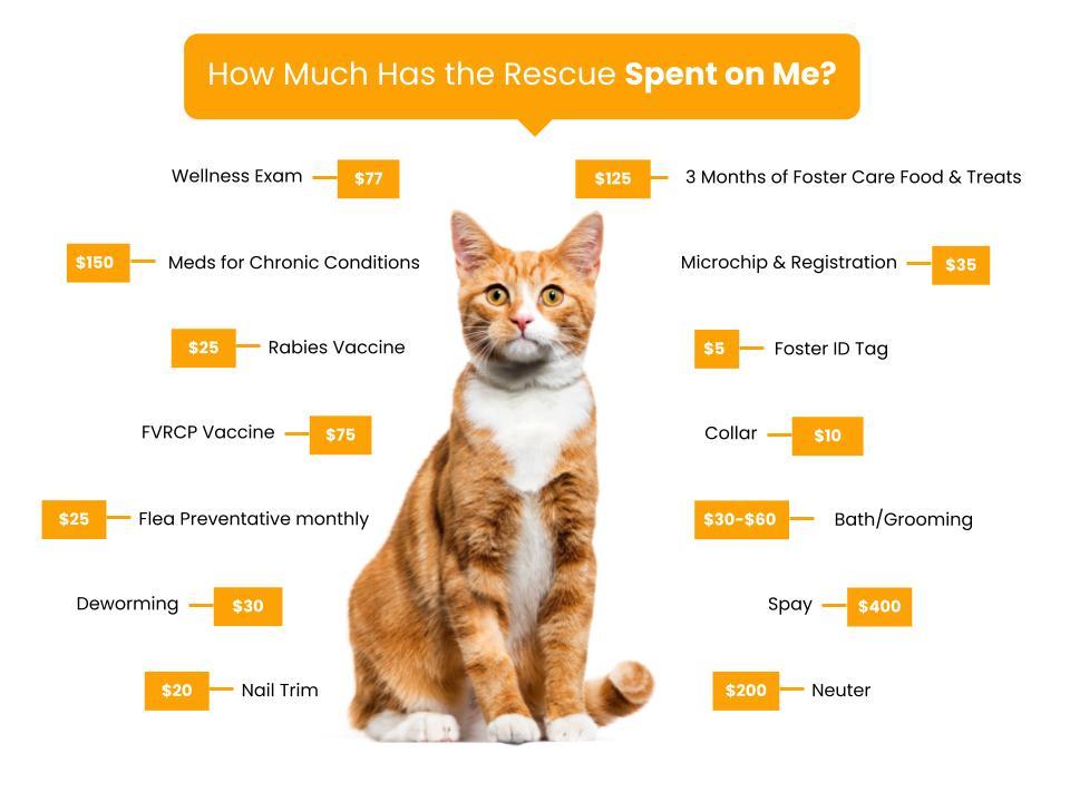 Adoption Donations – Motley Zoo Animal Rescue